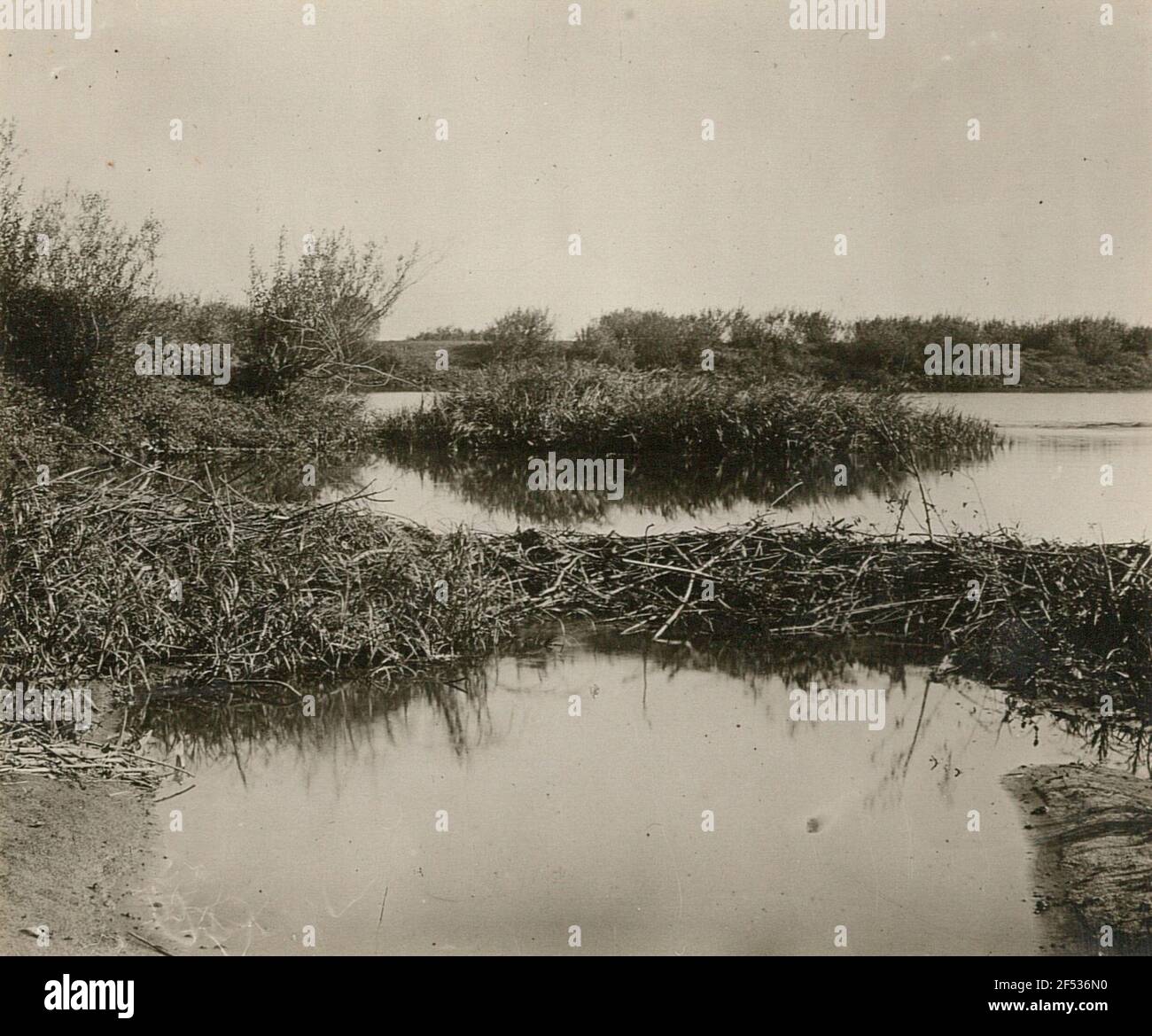 Biberdamm hi-res stock photography and images - Alamy