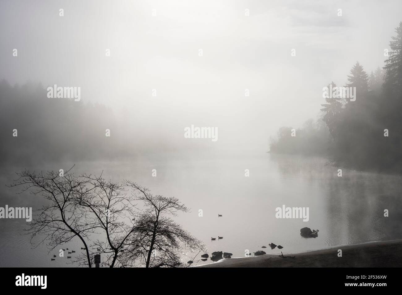 Willamette river rock hi-res stock photography and images - Alamy