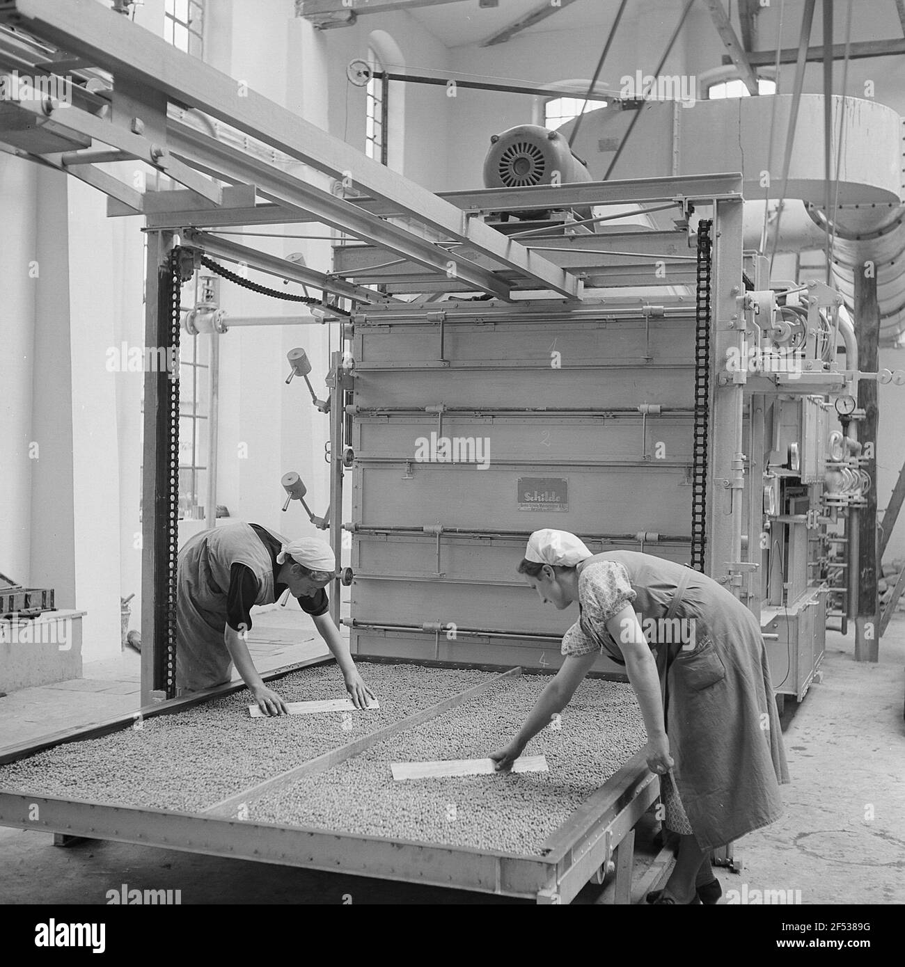 Sorting peas hi-res stock photography and images - Alamy
