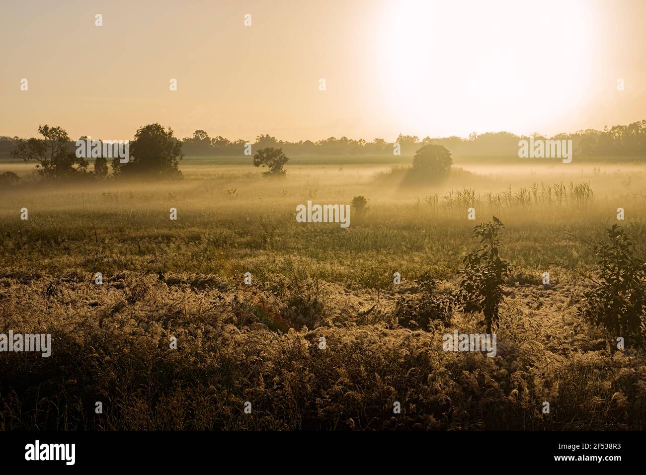 Early morning mist and fog being burnt off the landscape by the rising ...