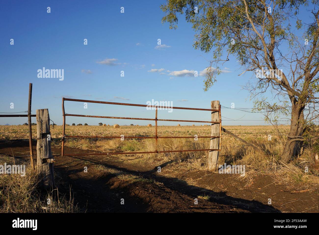 A rustic metal farm gate with a track leading to hay bales in the ...