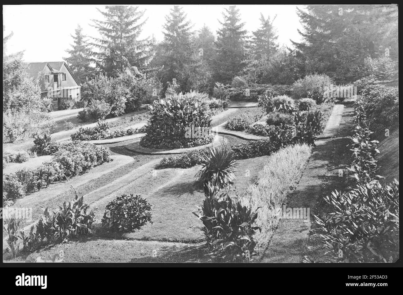 Oregon greenery Black and White Stock Photos & Images - Alamy