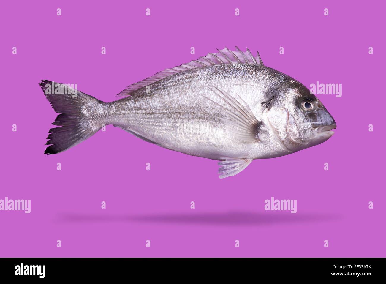 Pink sea bream hi-res stock photography and images - Alamy