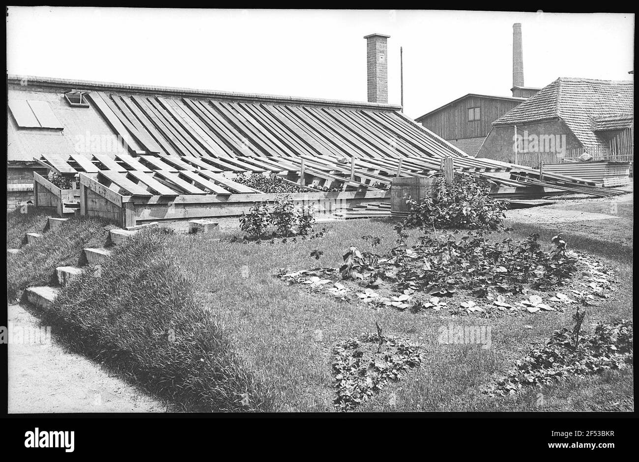 Freiberg. Fertilizer factory Schippan Greenhouse Stock Photo - Alamy