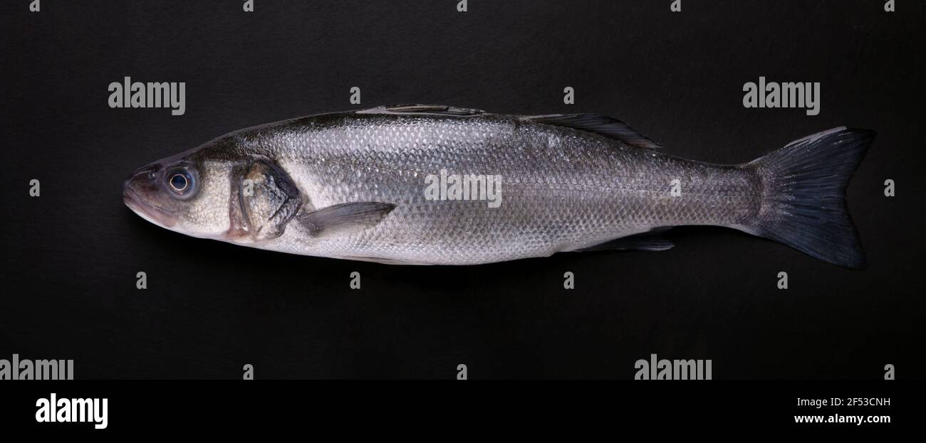 sea bass fish over black background, panoramic image Stock Photo - Alamy