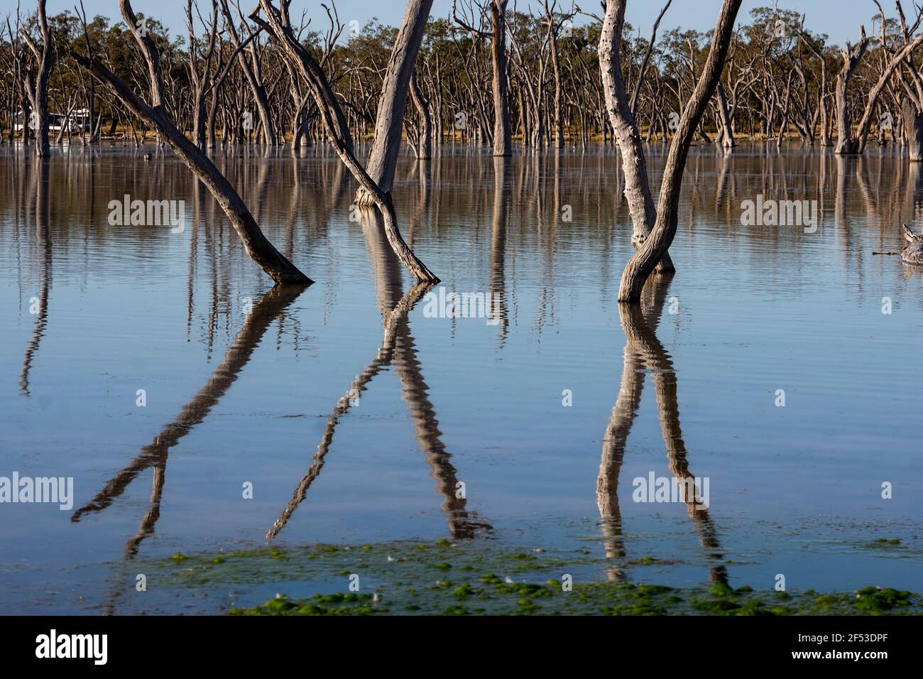 Lara wetlands and camping grounds in outback Western Queensland ...