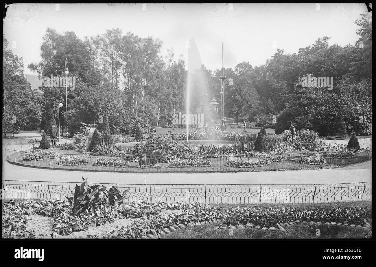 Freiberg. Plants in King - Albert - Park Stock Photo - Alamy