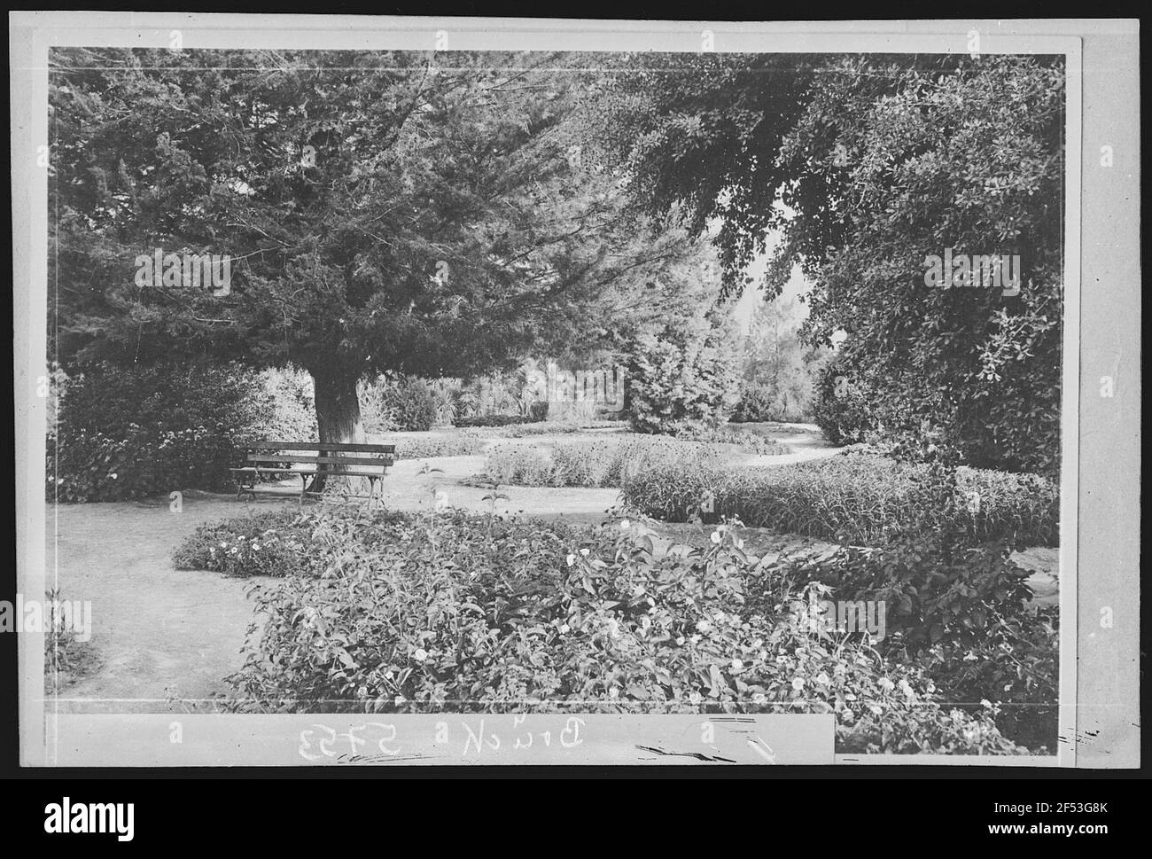 Riverside. City Park, Riverside, Ca Stock Photo - Alamy