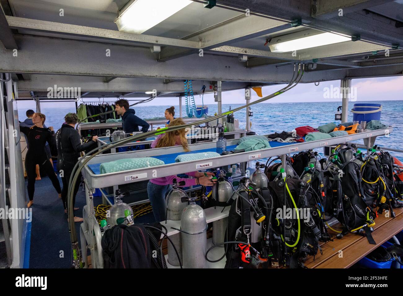4 Night - Fly Dive Minke Whale Expedition Stock Photo - Alamy