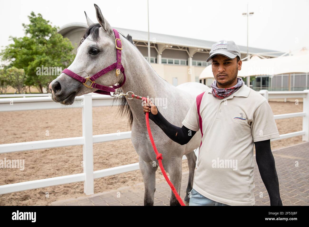 Al Shaqab Horse Racing Academy & Ottoman Stables, Doha, Qatar Stock ...