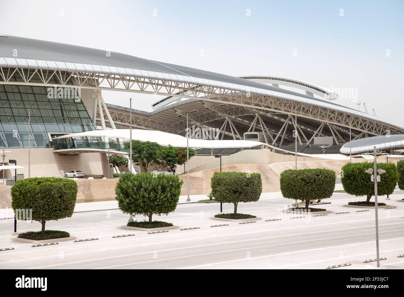 Qatar doha horse hi-res stock photography and images - Alamy