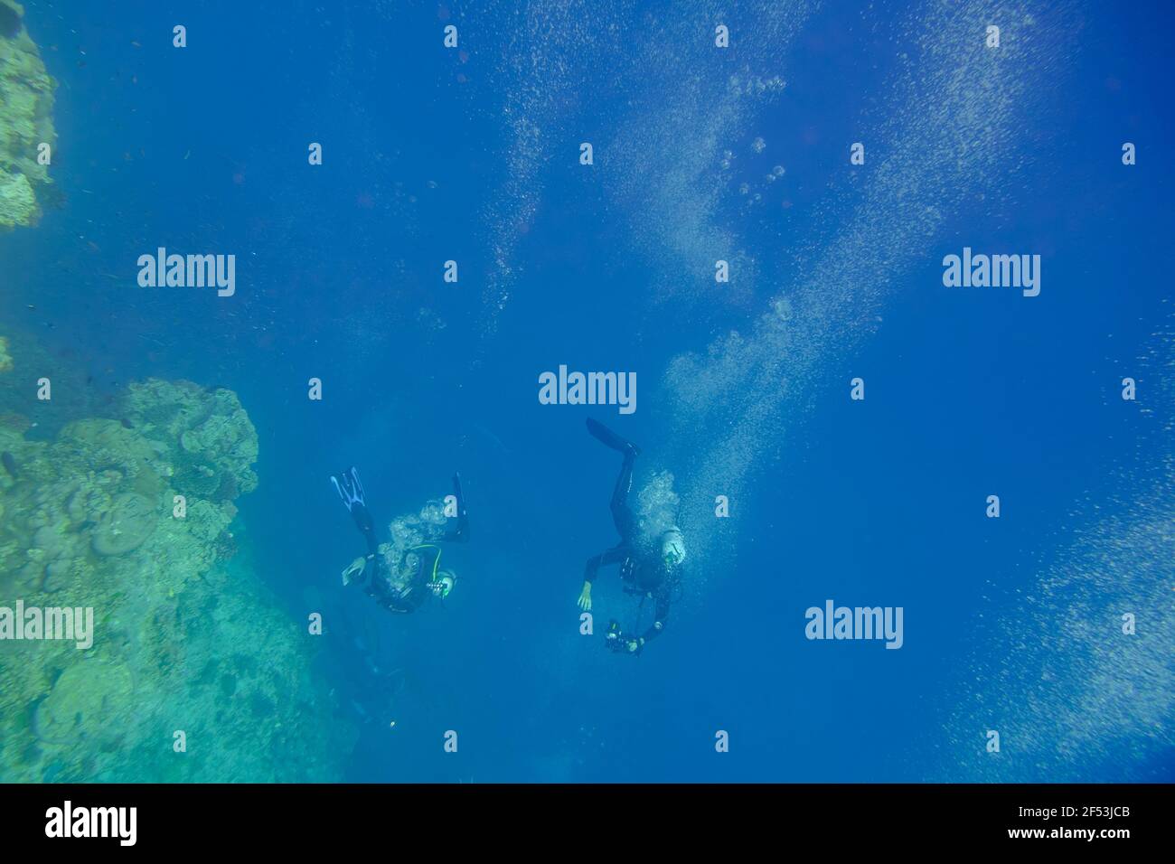 4 Night - Fly Dive Minke Whale Expedition - Lighthouse Bommie, Great ...