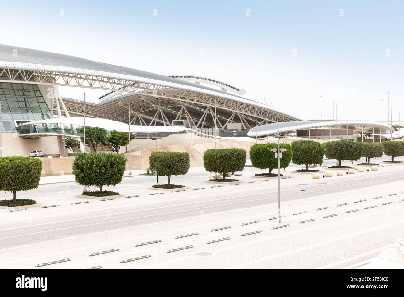 Qatar al shaqab equestrian hi-res stock photography and images - Alamy