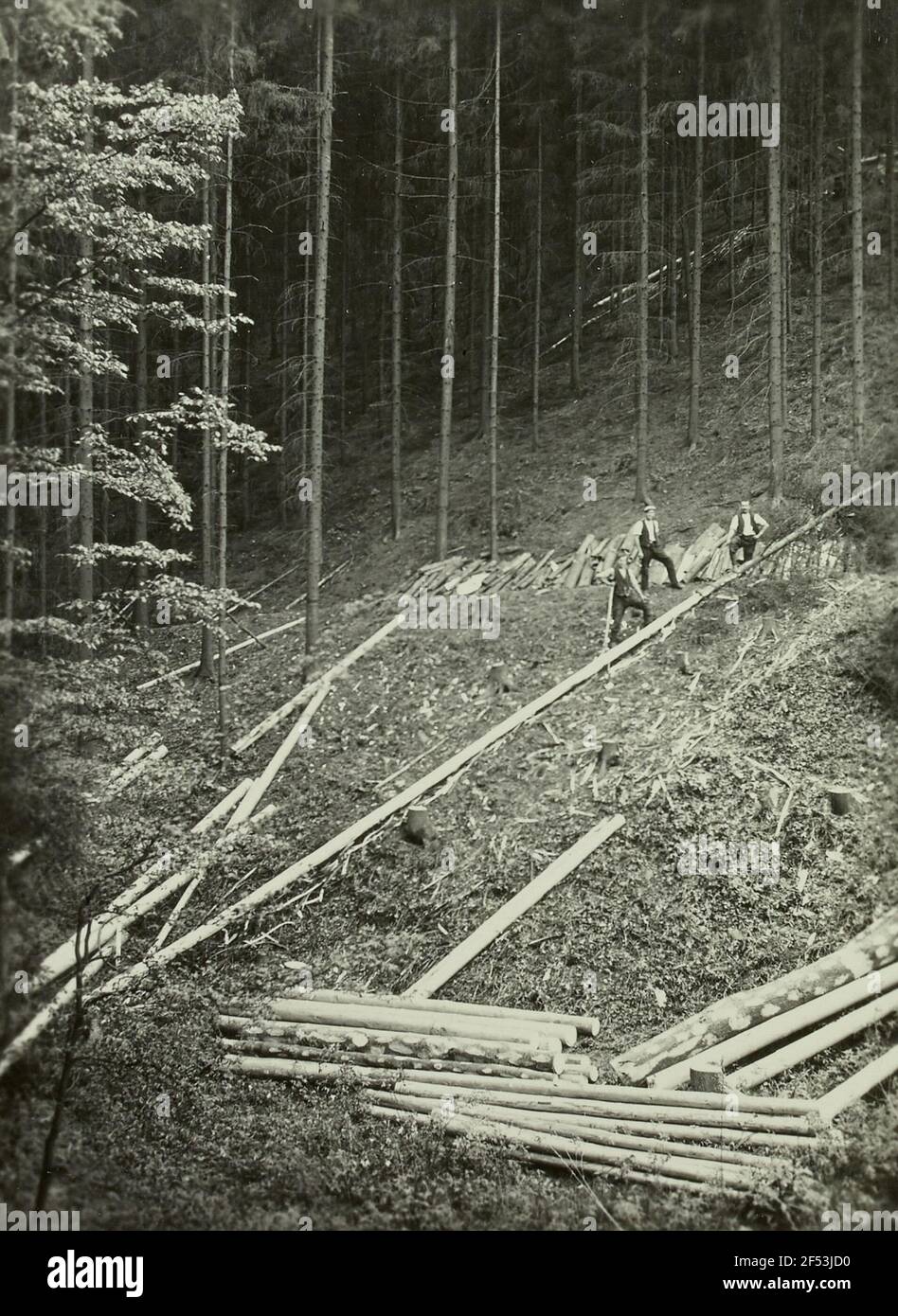 Saxon tribes hi-res stock photography and images - Alamy