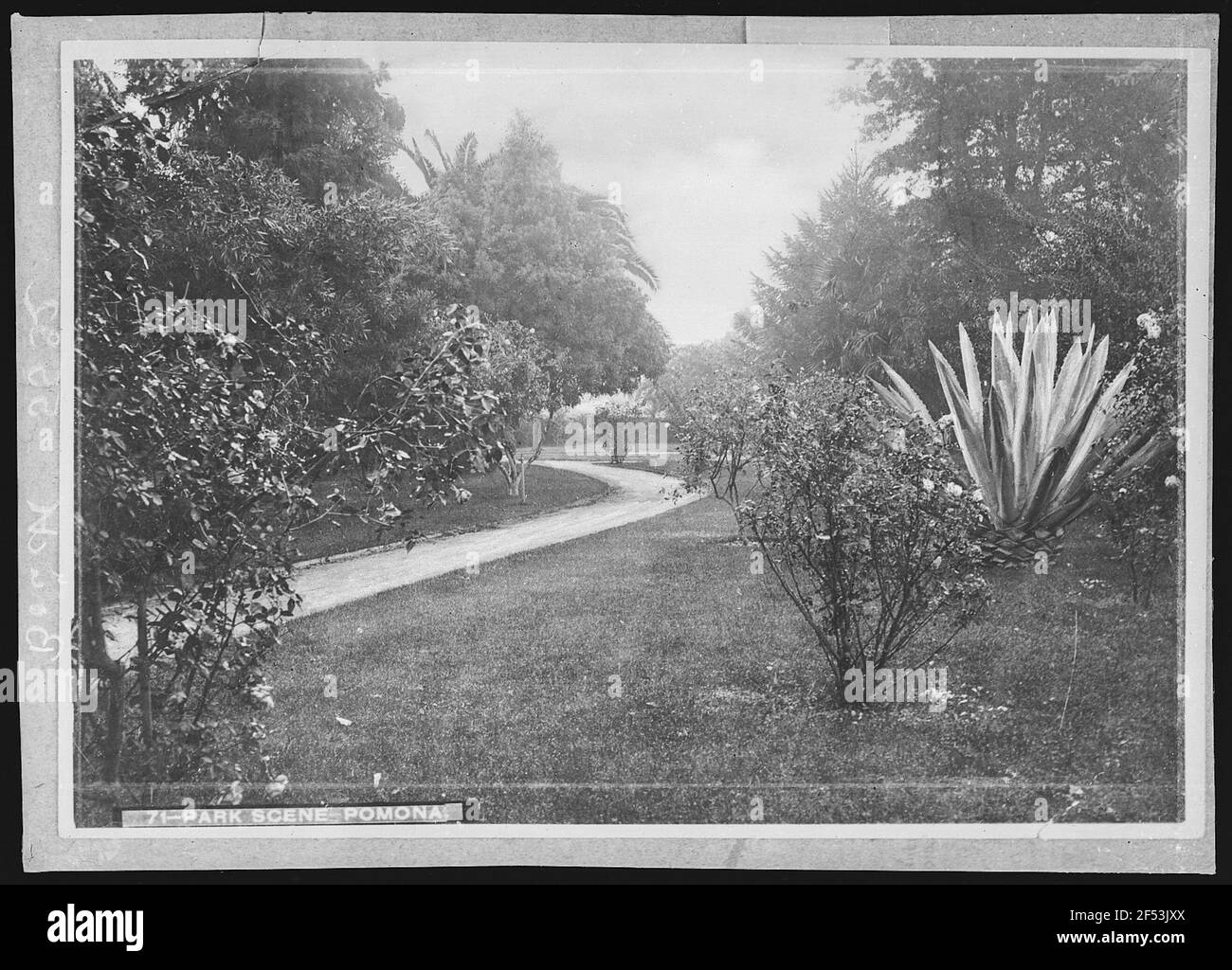 Cal scene Black and White Stock Photos & Images - Alamy