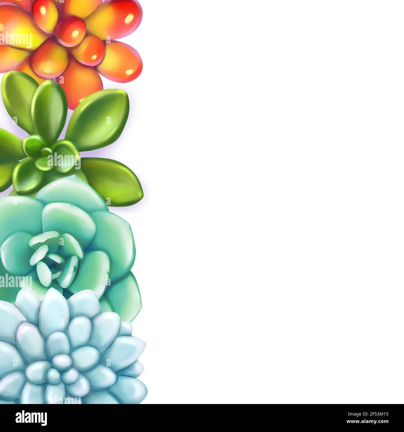 Floral Border. Succulents arranged un a shape of frame Stock Photo - Alamy
