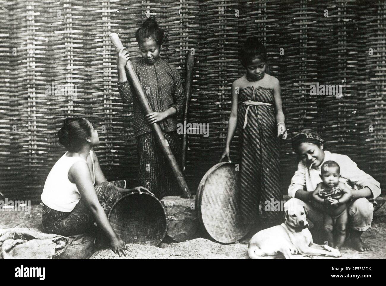 Java, Indonesia. Girls and women in rice stambing with mortars and ...