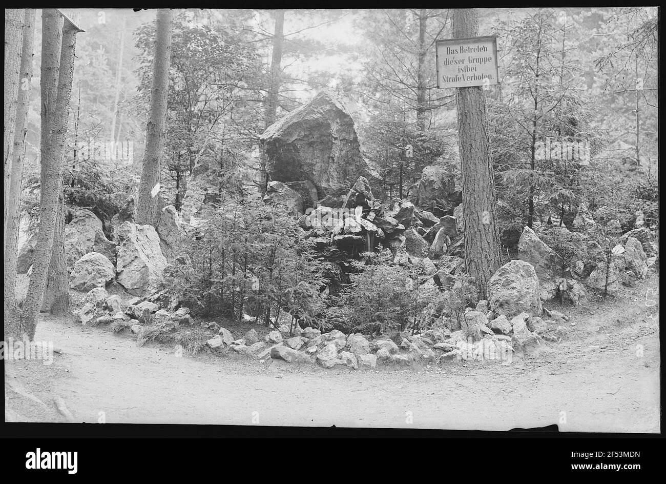 Forest rock Black and White Stock Photos & Images - Alamy