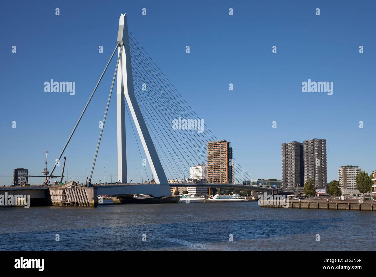Rotterdam Bridges High Resolution Stock Photography and Images - Alamy