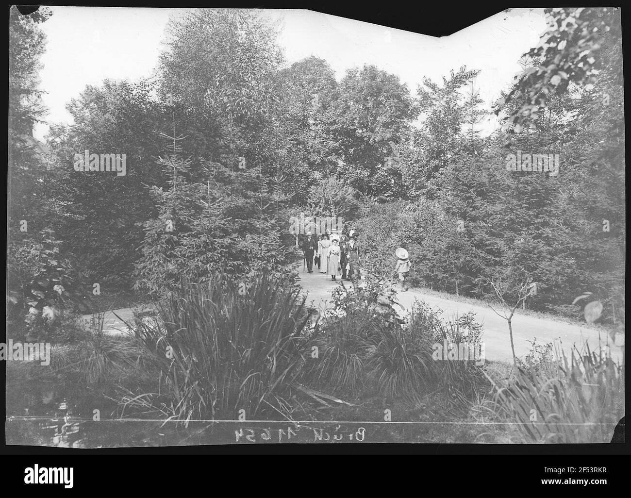 Bad Elster. Im Louisa-See- Park Stock Photo - Alamy