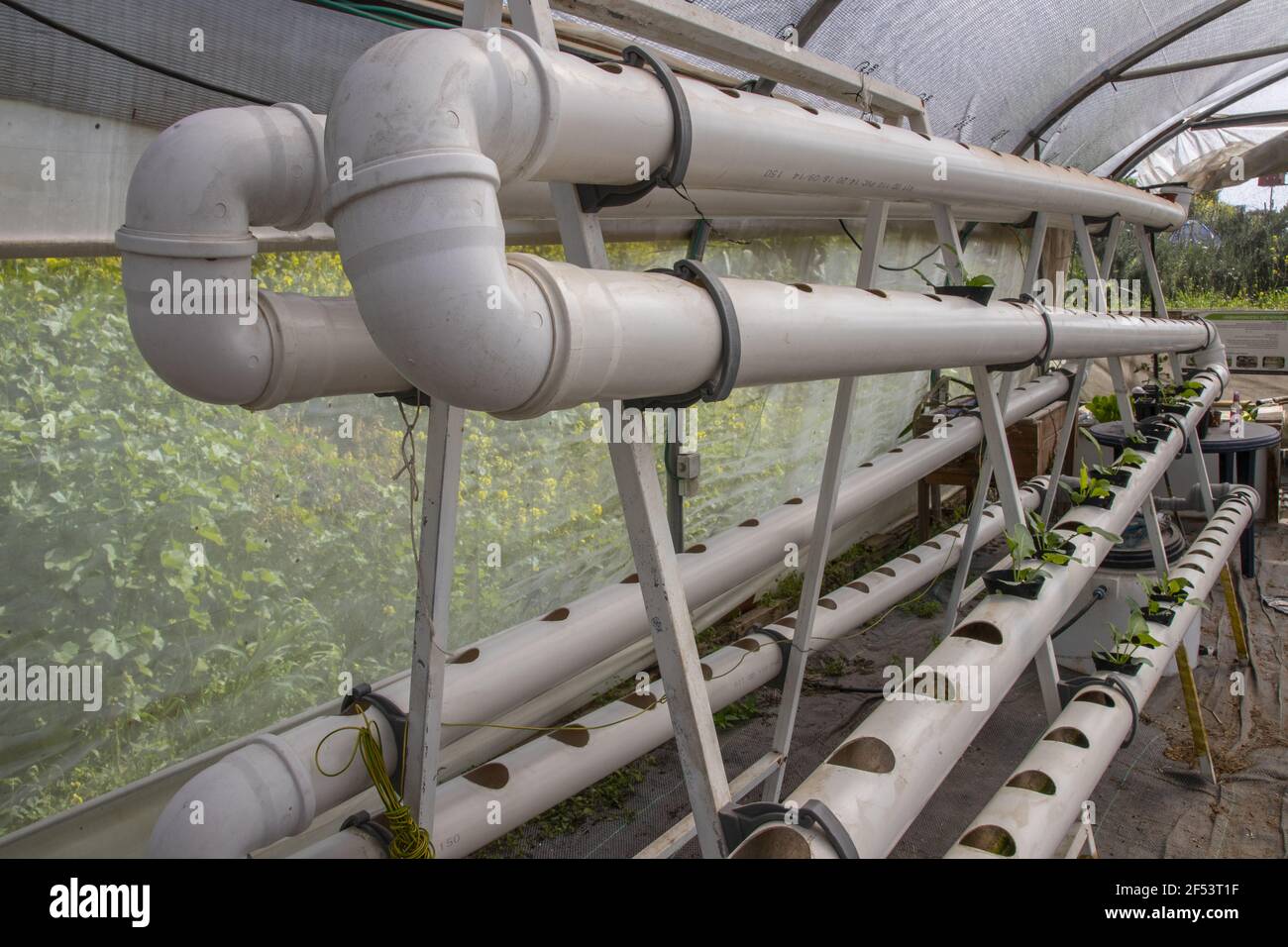 Aquaponics refers to a food production system that couples aquaculture ...