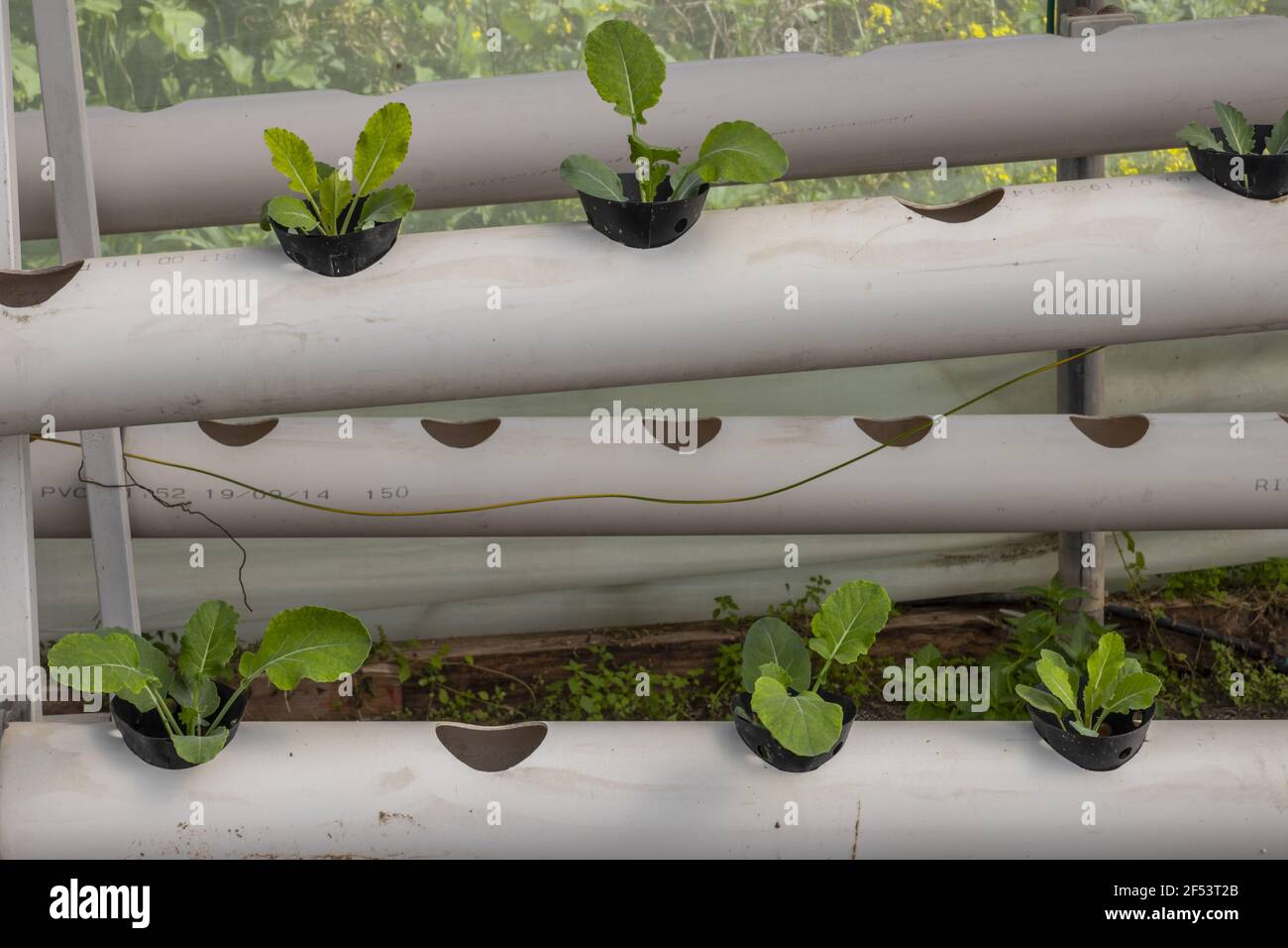 Agriculture aquaculture water system farm hi-res stock photography and ...