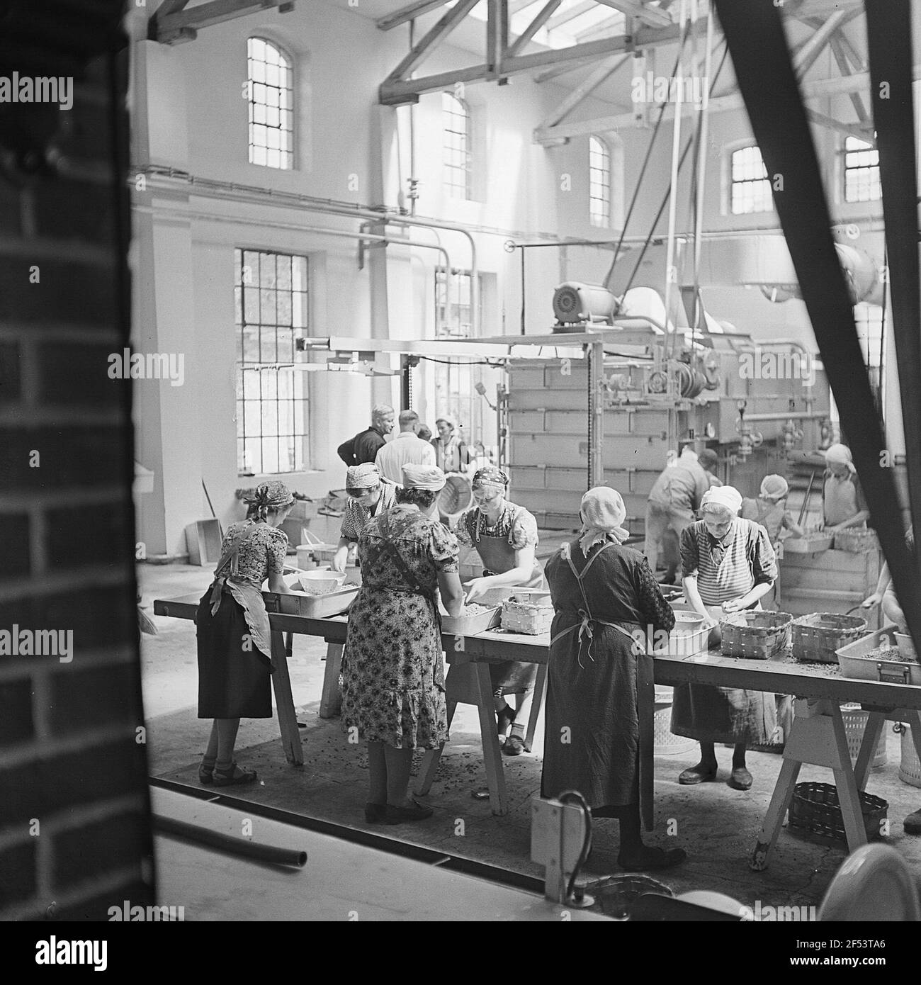 Sorting Peas High Resolution Stock Photography and Images - Alamy