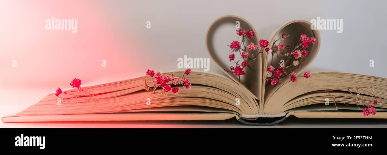 Book pages folded into a heart and pink flower. Soft focus, deliberate ...