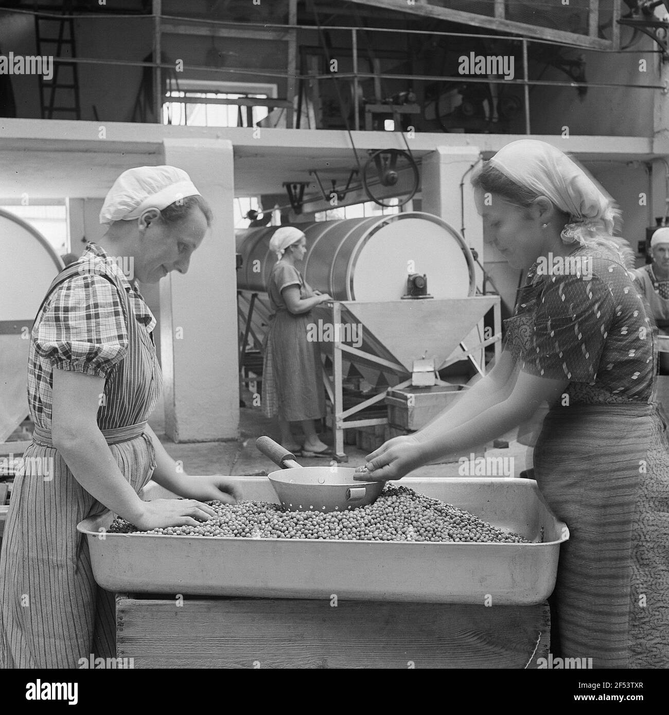 Sorting Peas High Resolution Stock Photography and Images - Alamy
