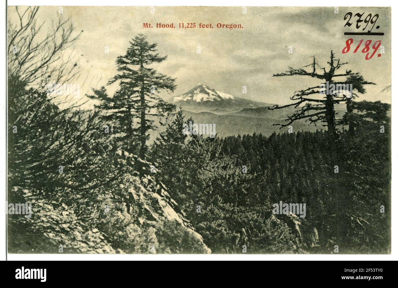 Oregon mt hood oregon Cut Out Stock Images & Pictures - Alamy