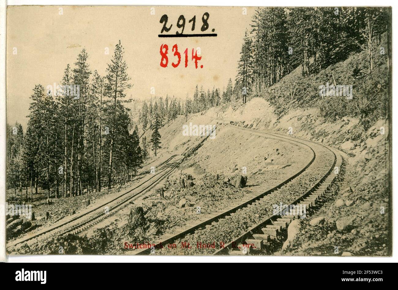 Switchback on Mt. Hood R. Hood River, Oregon. Switchback on Mt. Hood R ...