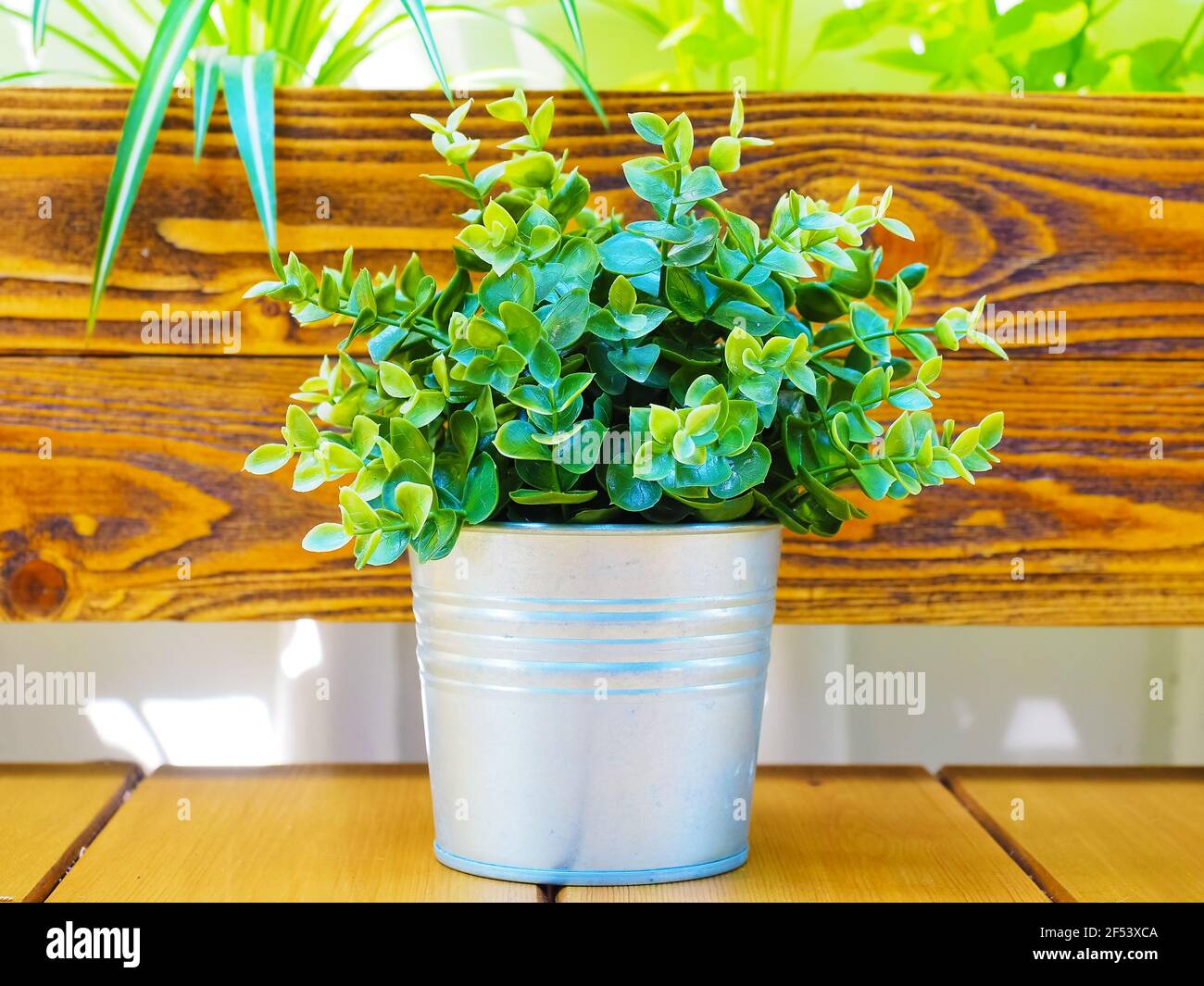 Artificial indoor green plastic plant stands on wooden shelf Stock ...