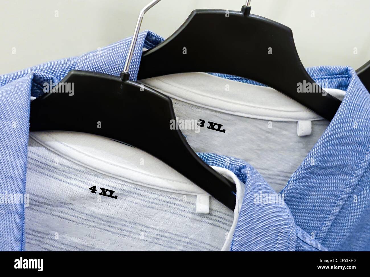 Is XL The Same As 1X? (Sizing Mystery Solved)