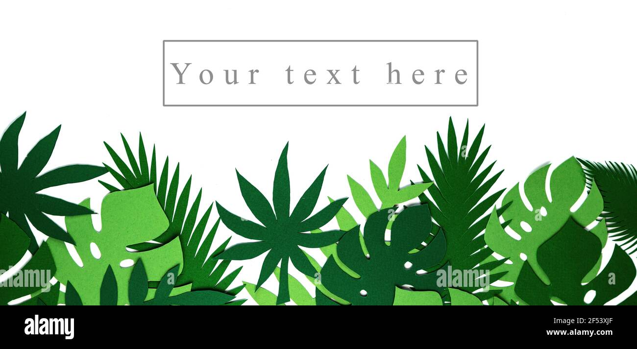 Creative layout of tropical leaves with "Your text here " inscription ...