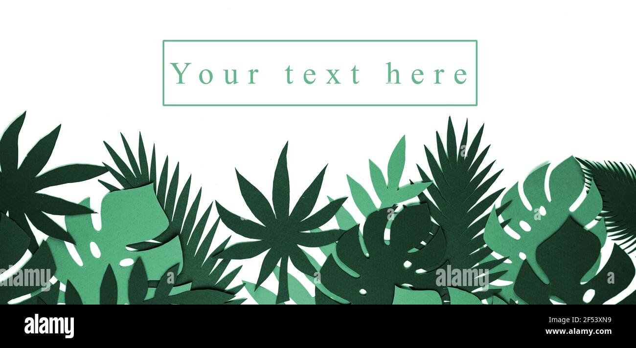 Creative layout of tropical leaves with "Your text here " inscription ...