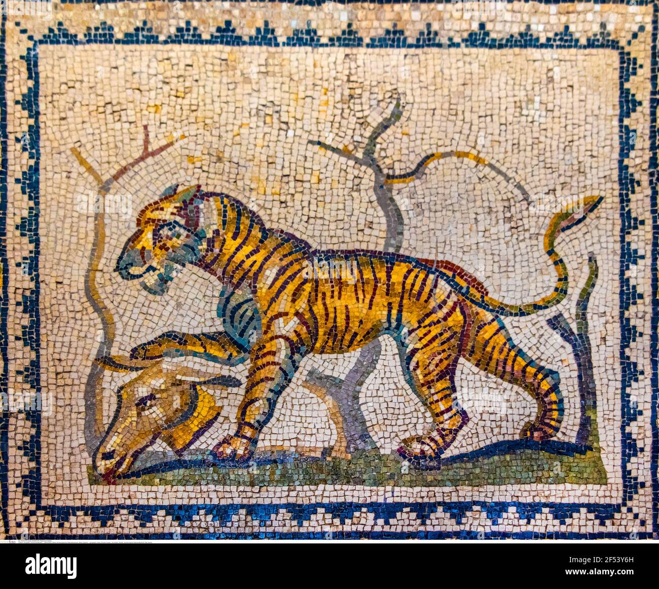 Ancient roman cat mosaic hi-res stock photography and images - Alamy