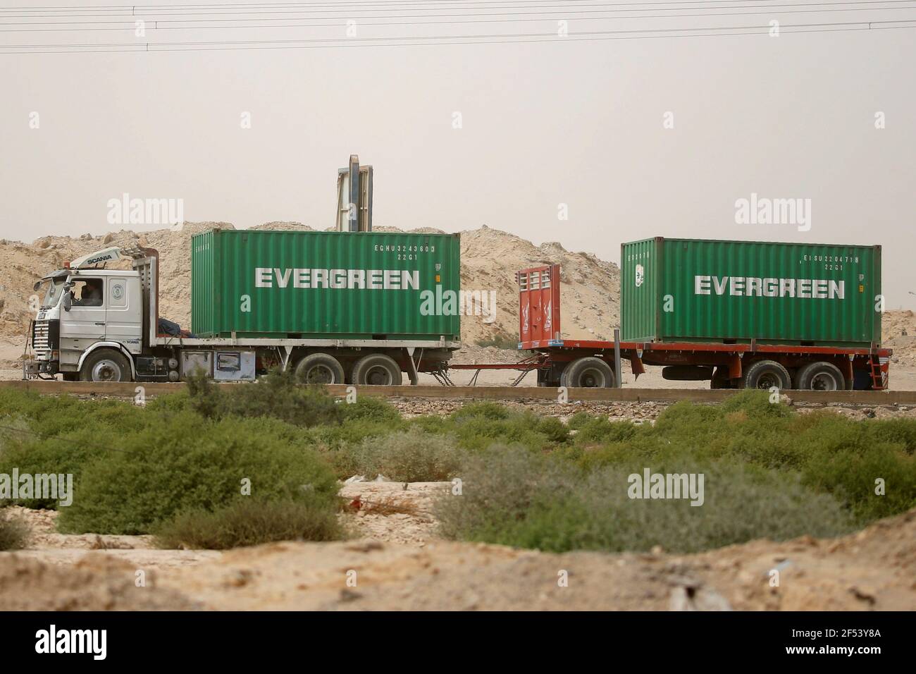 Evergreen containers hi-res stock photography and images - Alamy