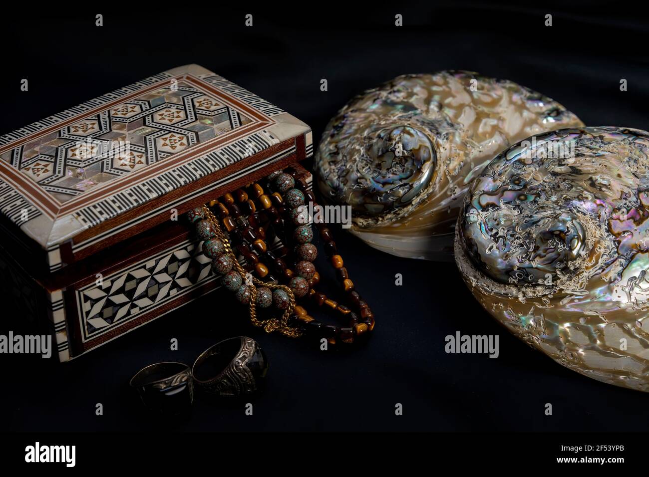 Souvenir shells hi-res stock photography and images - Alamy