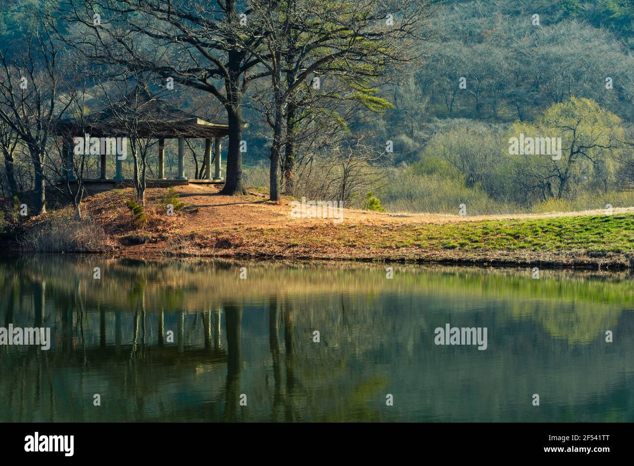 Sunny spring, landscape with lake, trees and forest. Seosan-si ...