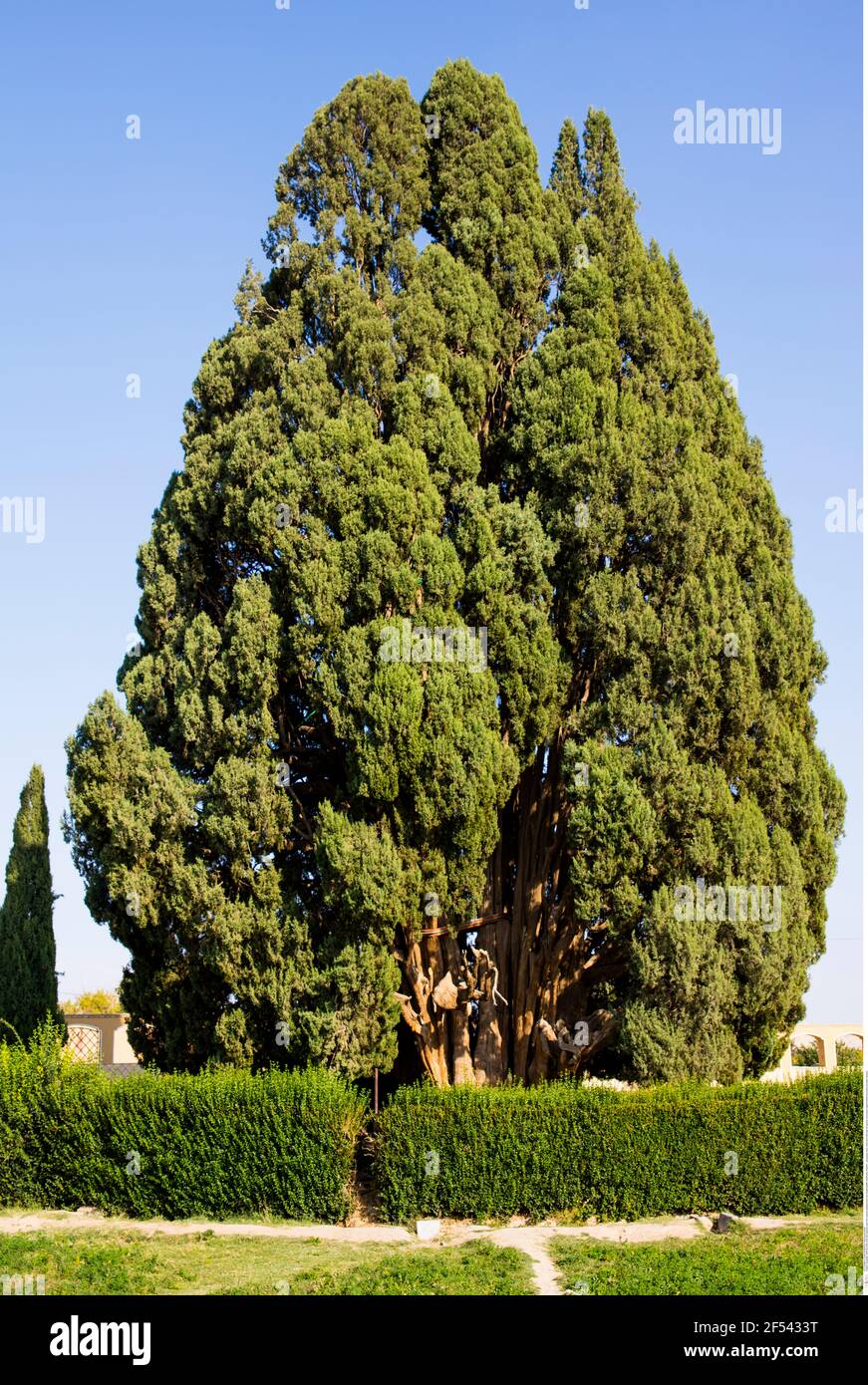 Zoroaster hi-res stock photography and images - Alamy