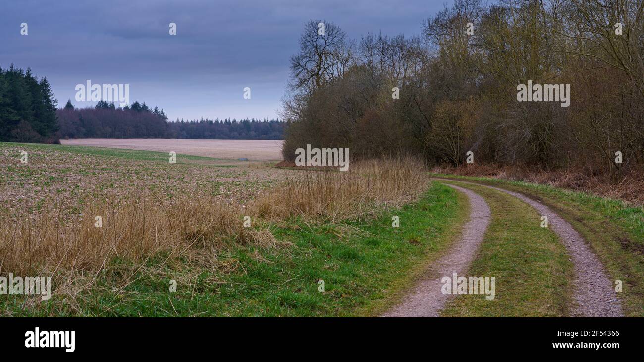 a scenic winding track through woodlands and fields, North Wessex Downs ...