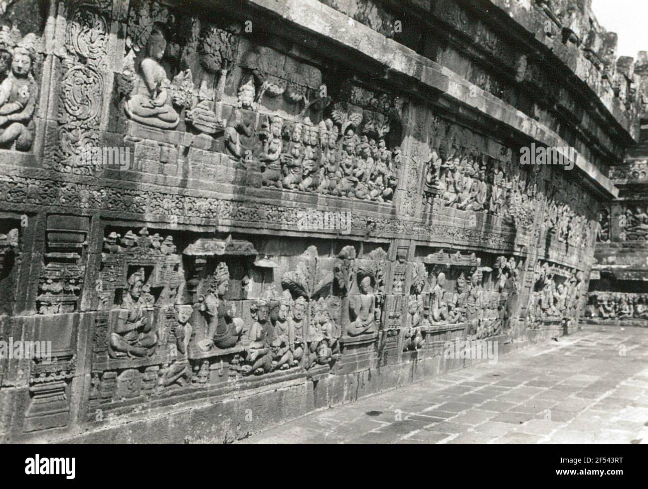 Indonesia. Java. Borobudur at Djogjakarta. Temple plant Borobudur ...