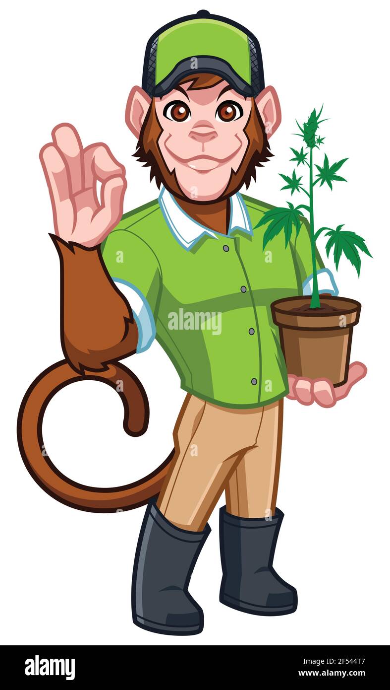Cannabis Monkey Farmer Mascot Stock Vector Image & Art - Alamy