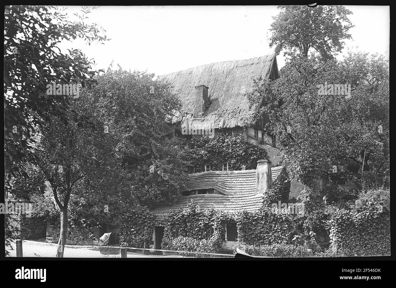 House goat Black and White Stock Photos & Images - Alamy