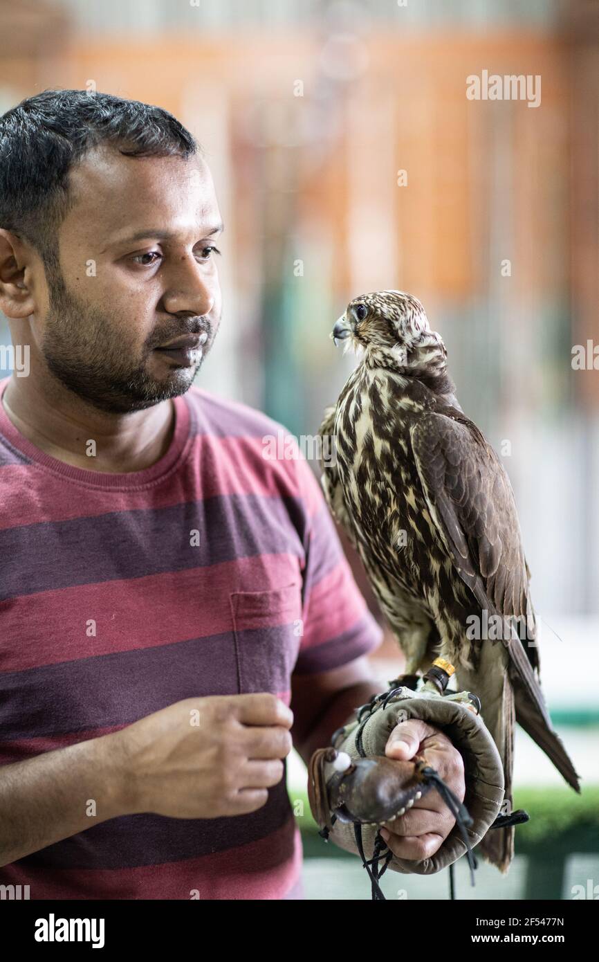Falcon Souq, Doha, Qatar Stock Photo - Alamy