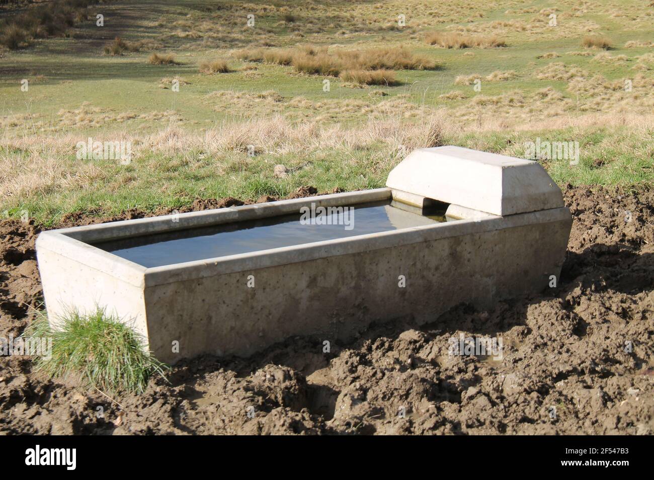 A Farm Animal Drinking Trough Surrounded by Mud Stock Photo - Alamy