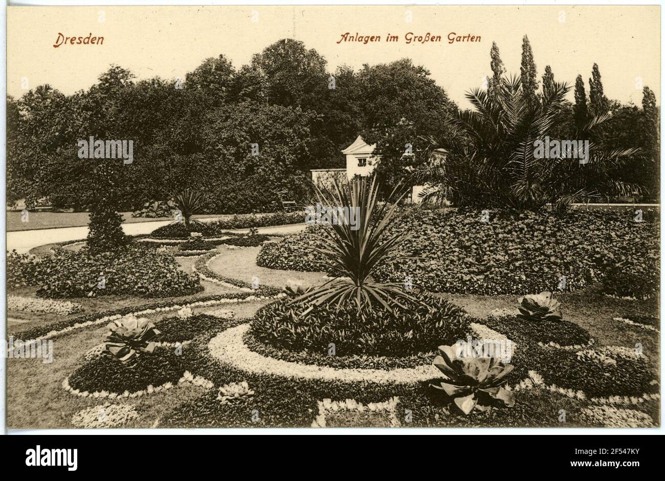 Plants in the large garden Dresden. ANL. In the large garden Stock ...