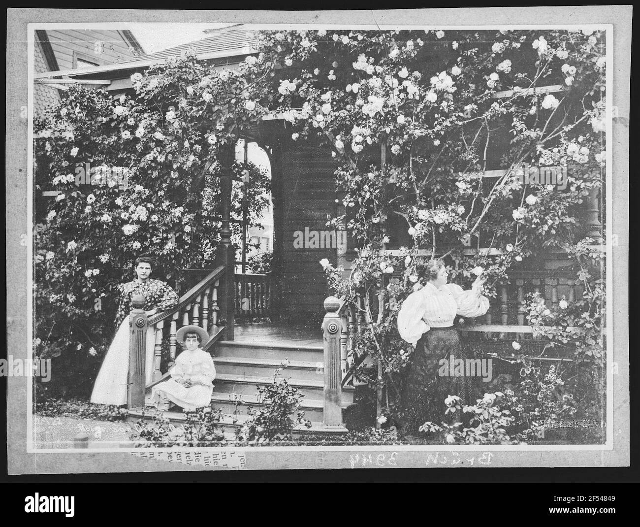 Rose Covered Cottage High Resolution Stock Photography and Images - Alamy