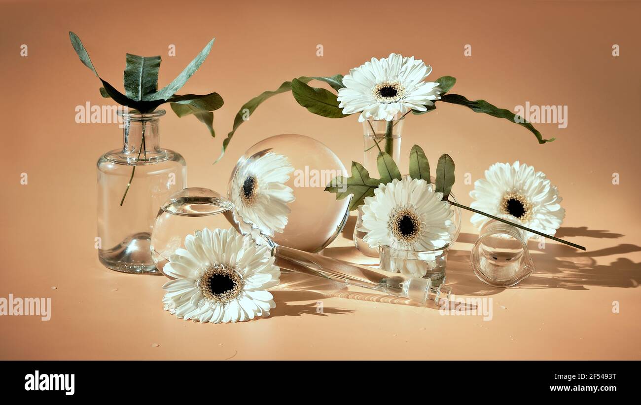 Glass distortion hi-res stock photography and images - Alamy