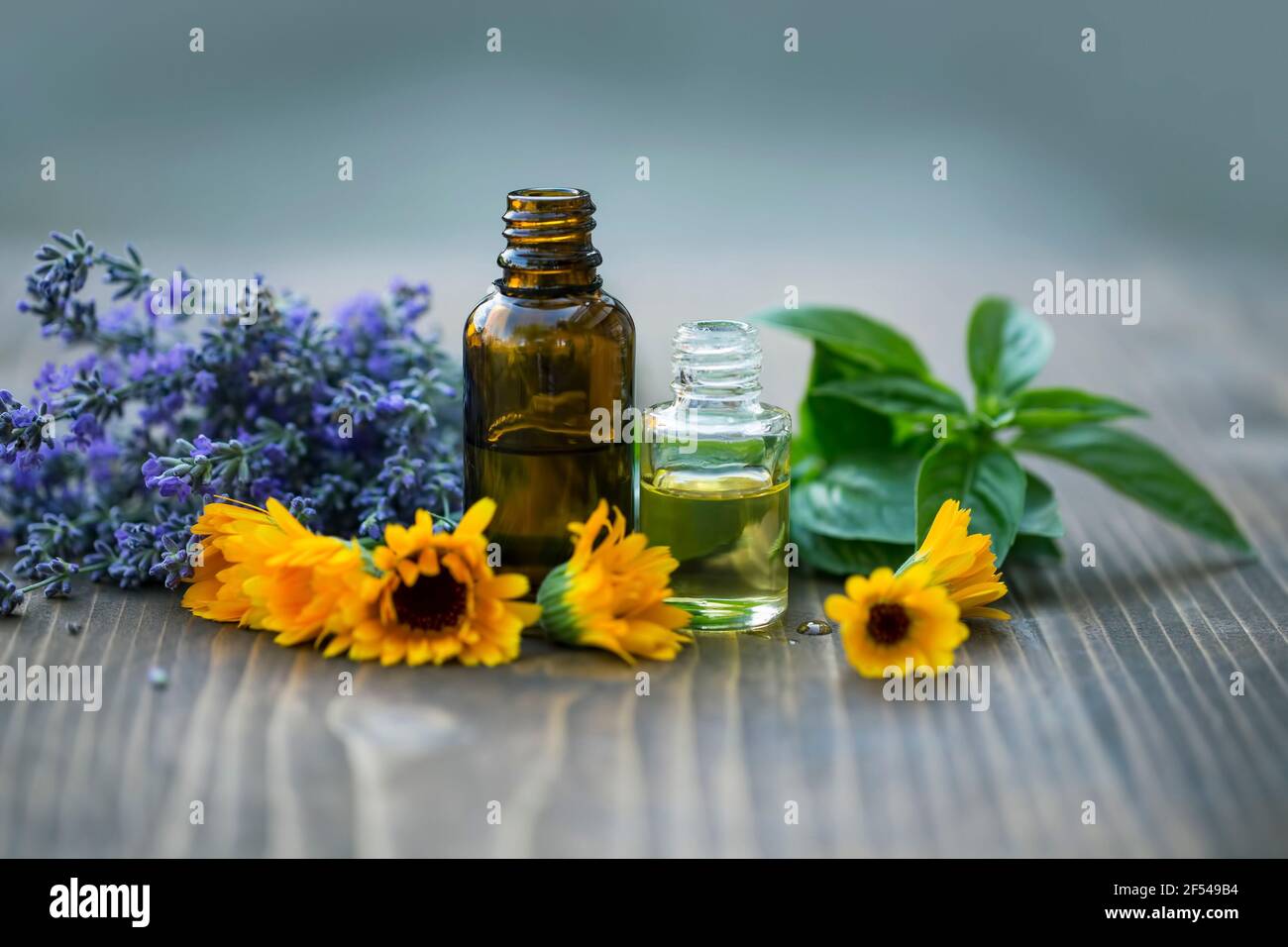 Essential oil bottles with medicinal plants and flowers, aromatherapy ...